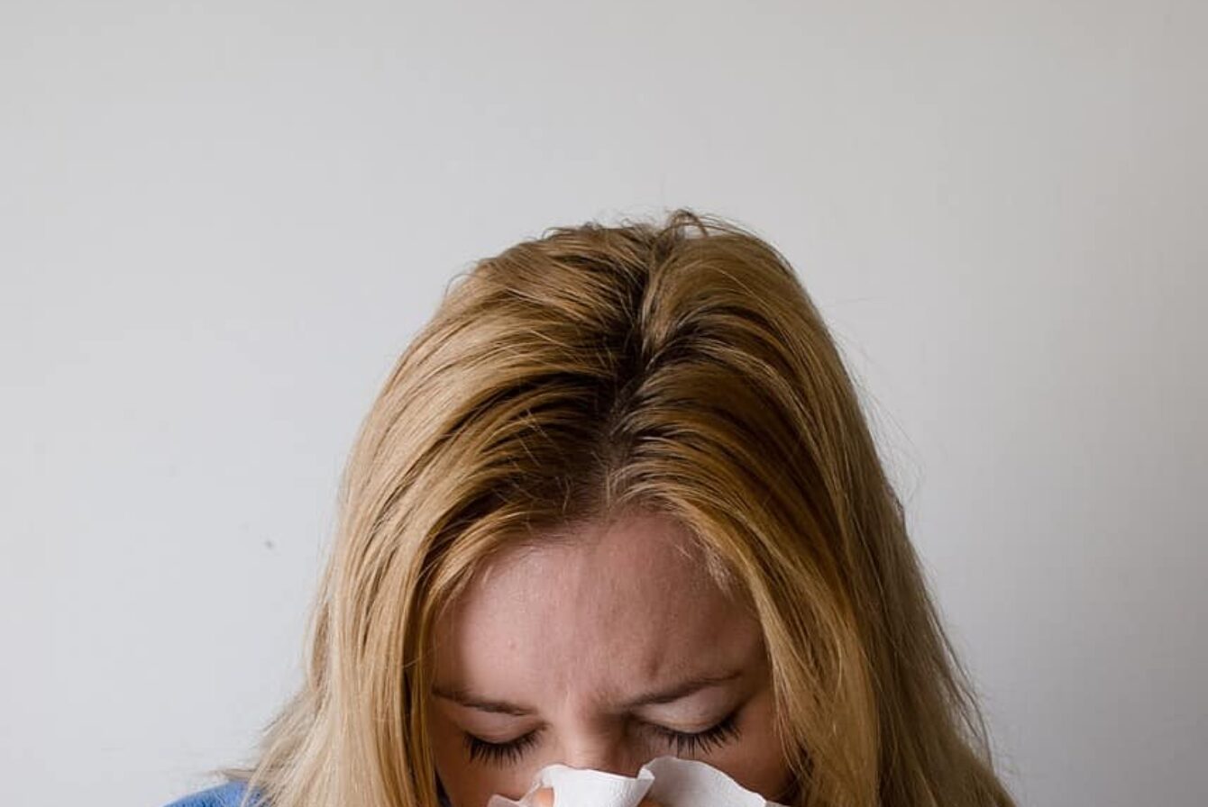 Explaining the Mountain Cedar Count | Champion
