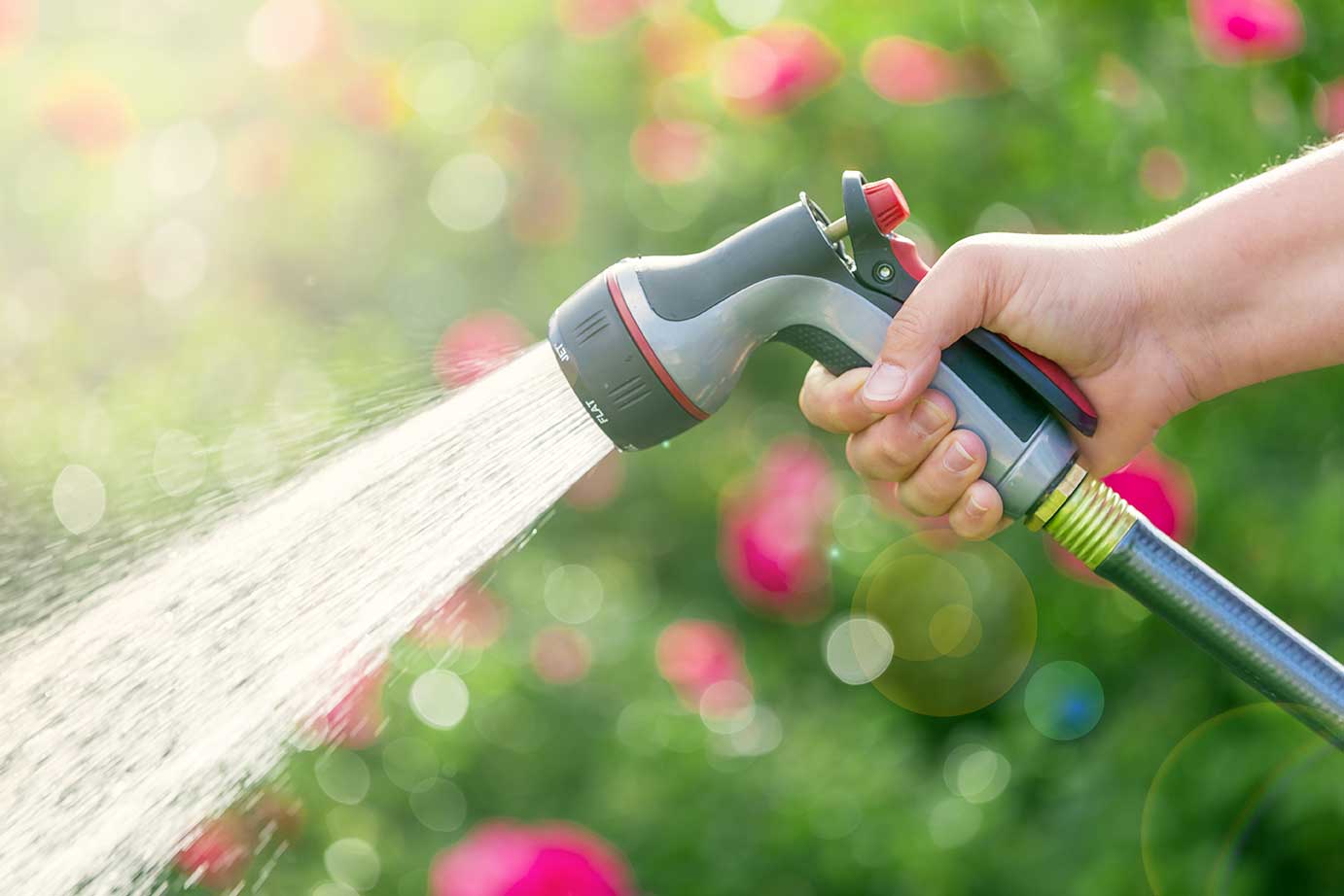 Essential Summer Plumbing Tips for Your San Antonio Home | Champion